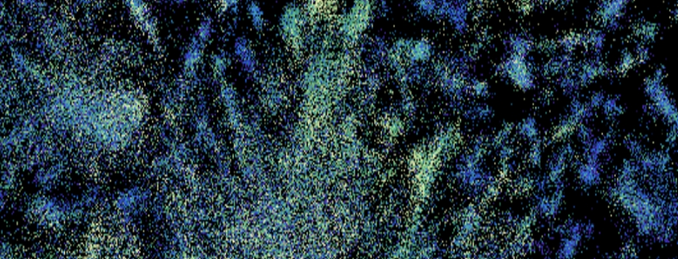 Cellverse AI Protein Platform